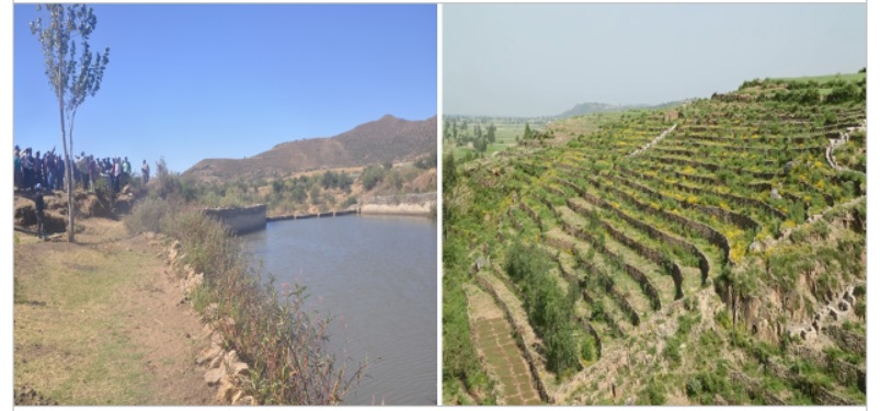 Relief Society of Tigray (REST): From Drought Mitigation to Development ...